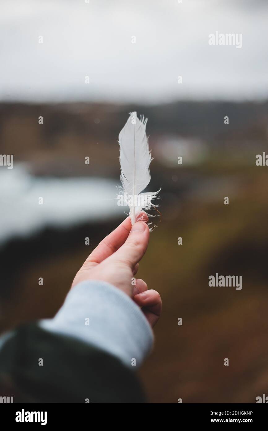 hand holding white bird feather Stock Photo - Alamy