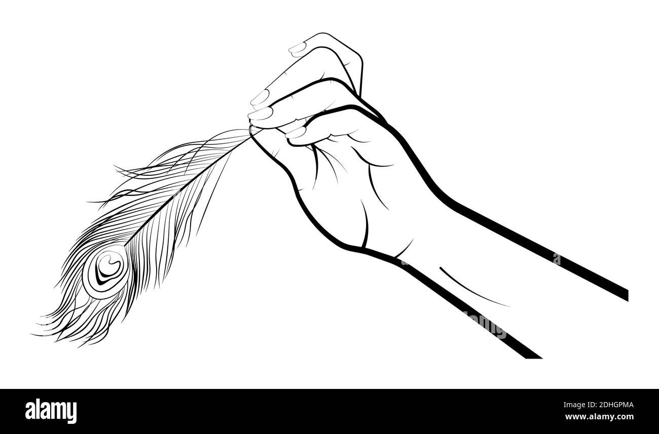 female hand gently holds the peacock feather with two fingers ...