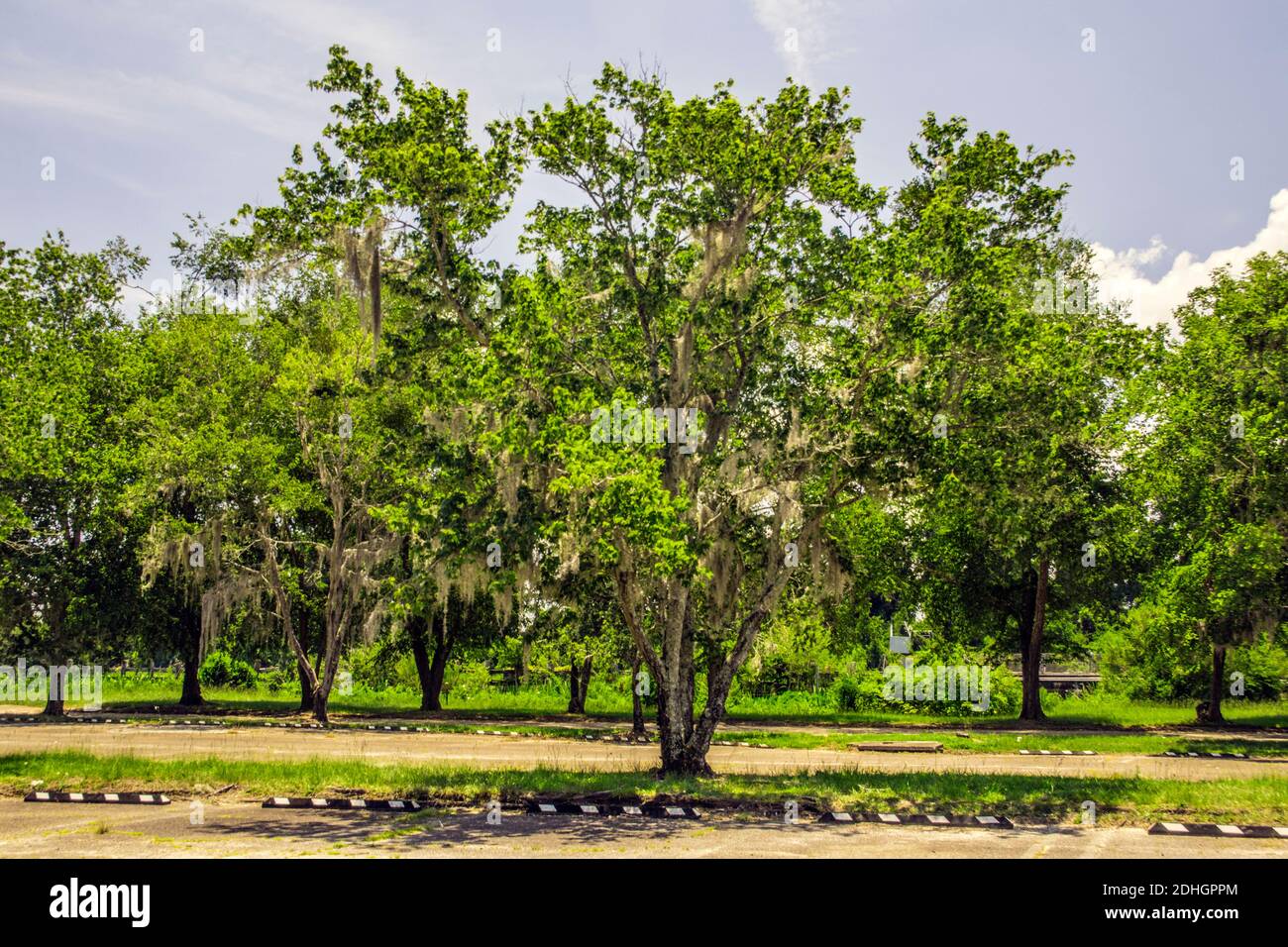 Augusta, Ga USA - 07 04 20: Lock and Dam beautiful green moss trees in ...
