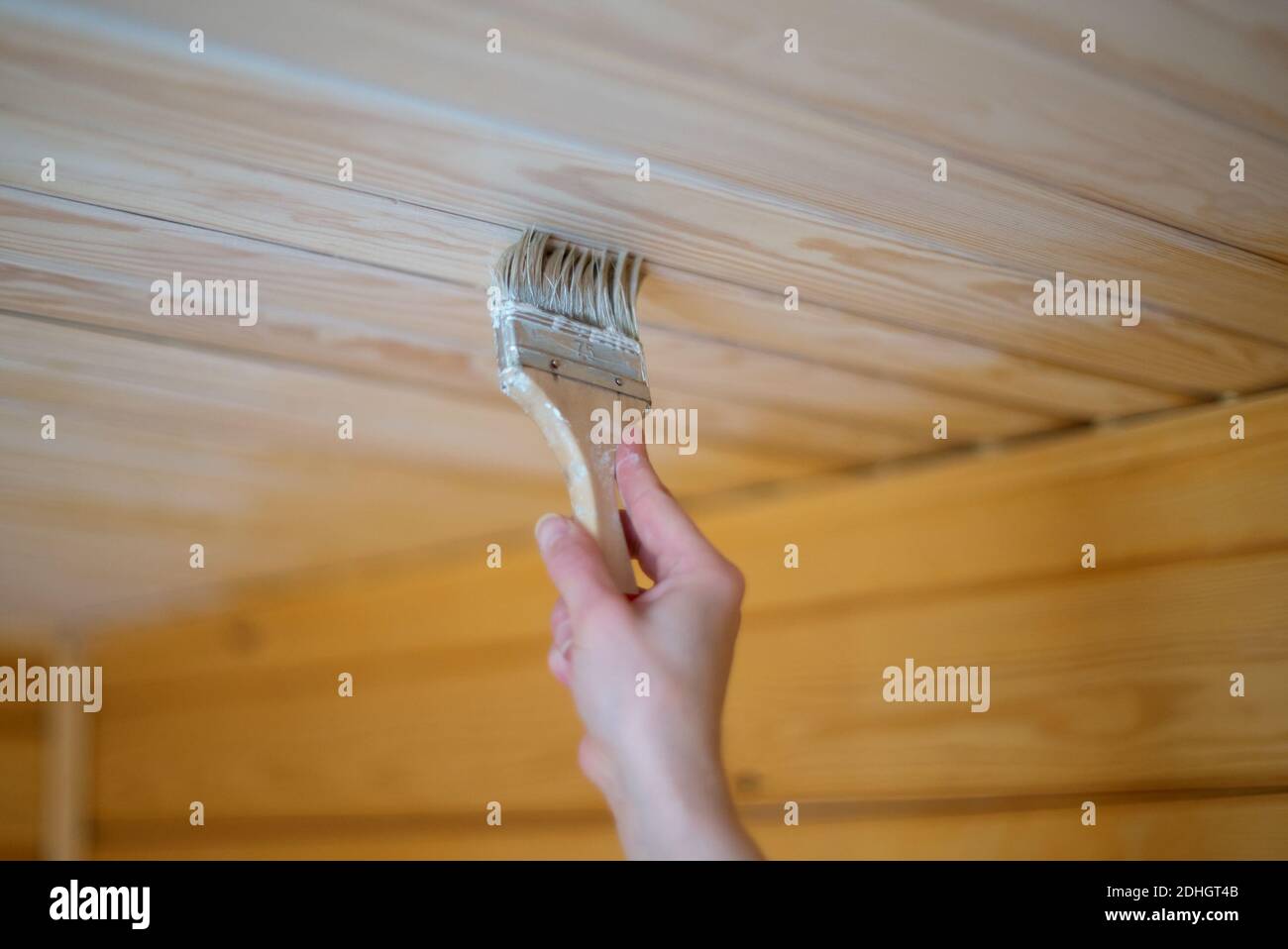 Female hand with a flat brush colors a wooden ceiling during ...