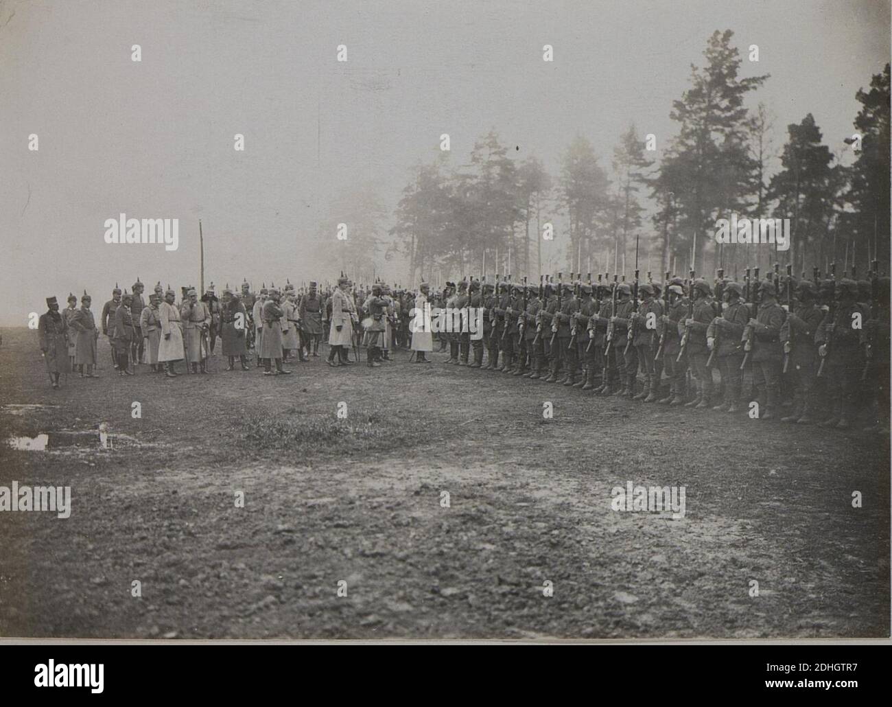 Friedrich august iii von sachsen hi-res stock photography and images ...