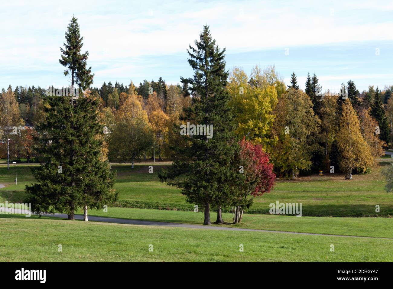 Walkway, path runs through a meadow. Trees, buildings and a street in ...