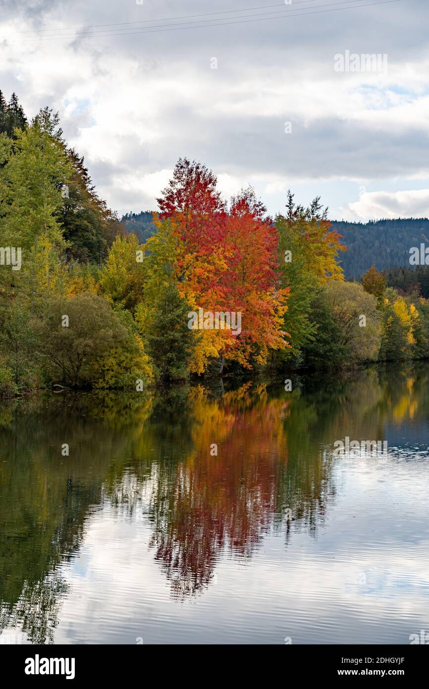 The Nagold Dam at the Nagold Valley, Black Forest, Germany Stock Photo ...