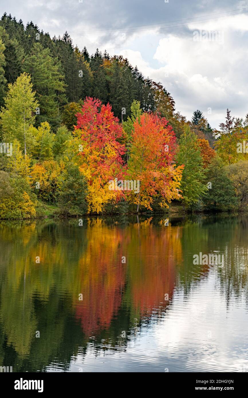 The Nagold Dam at the Nagold Valley, Black Forest, Germany Stock Photo ...