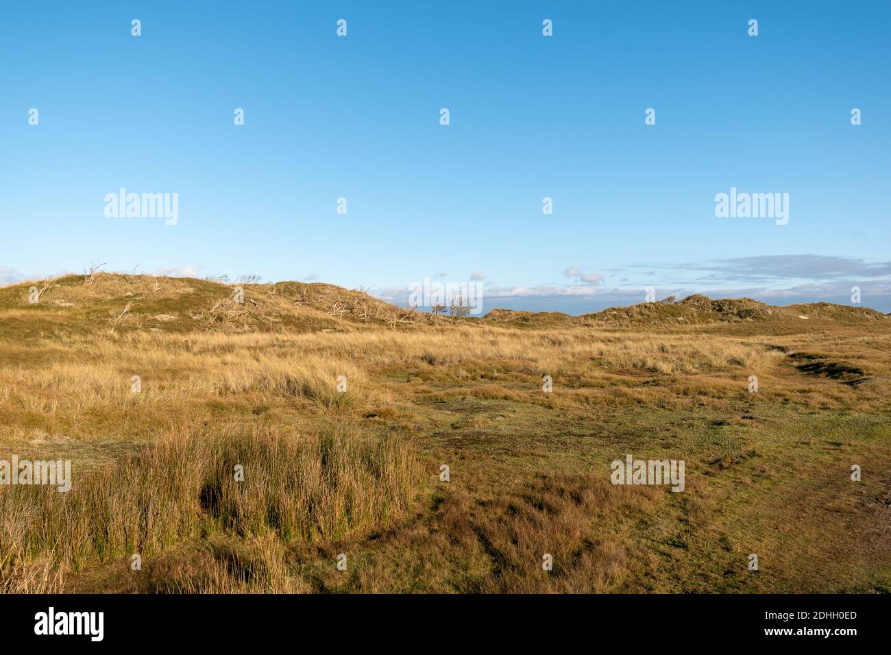A beautiful landscape of Norderney fields and small hills in Germany ...