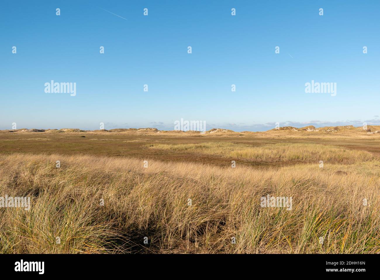 A beautiful landscape of Norderney fields in Germany Stock Photo - Alamy