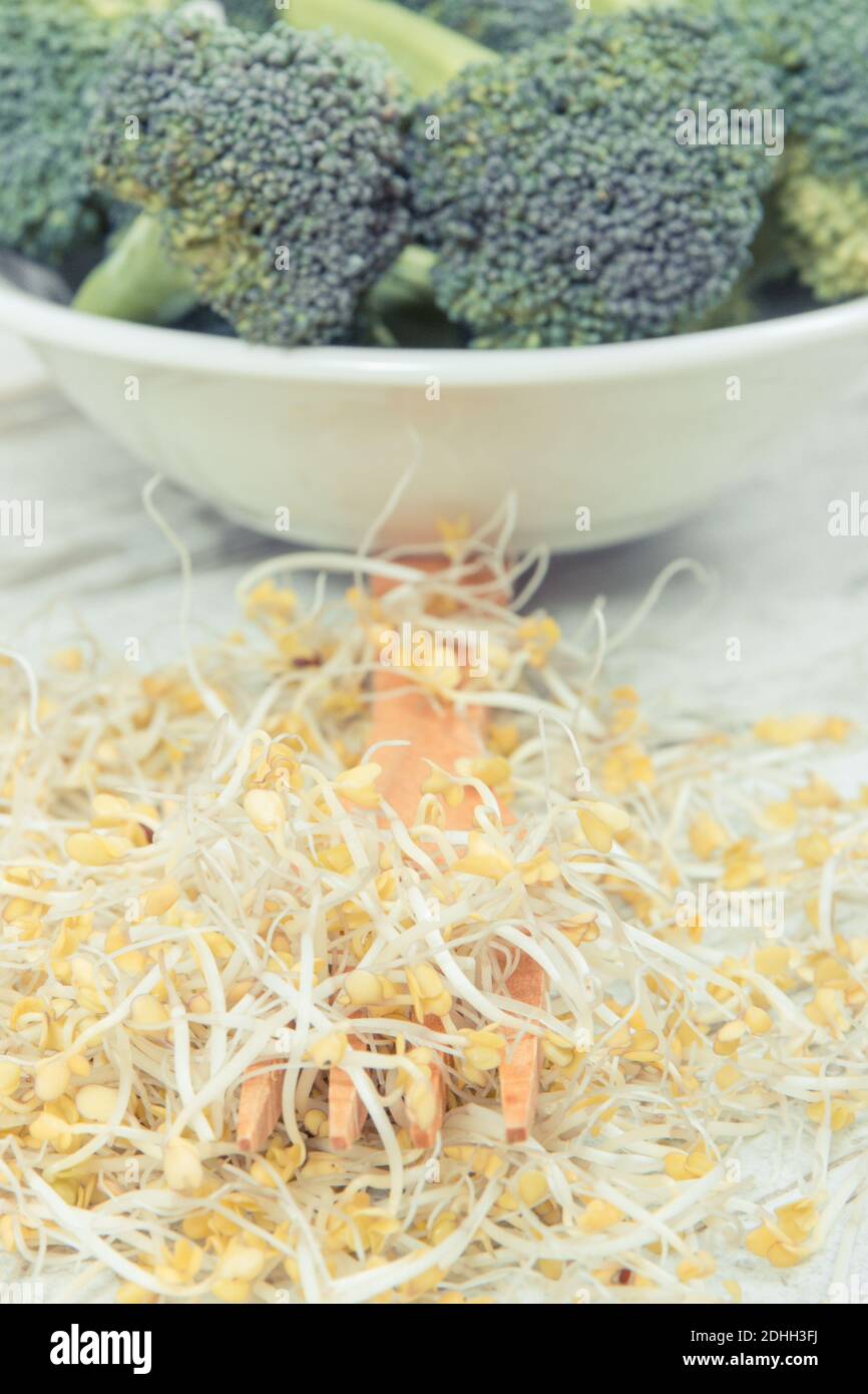 Nutritious broccoli sprouts and fresh vegetable as source natural ...