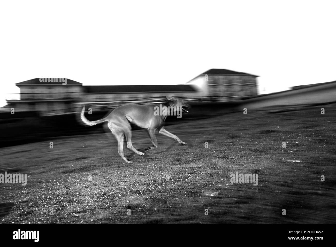 People running on isle hi-res stock photography and images - Alamy