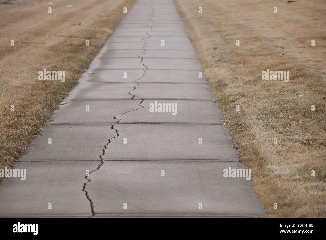 Split down the middle hi-res stock photography and images - Alamy