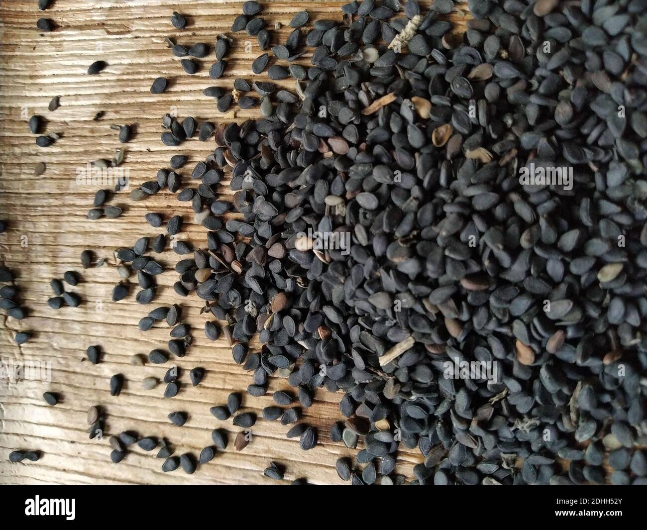 Sesame Seed Pods And Plant High Resolution Stock Photography and Images ...