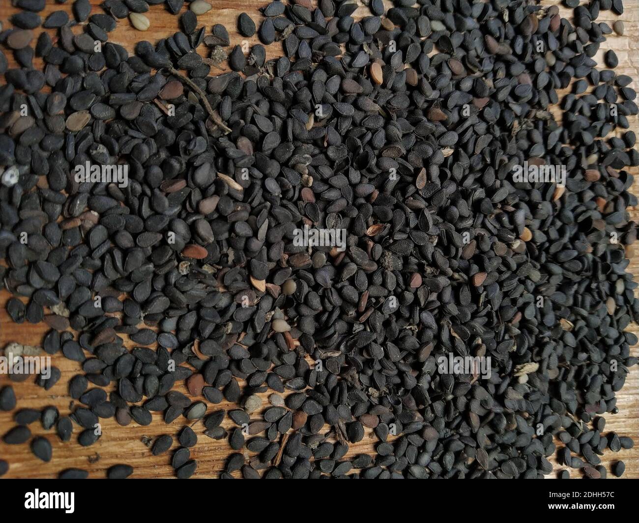 Sesame Seed Pods And Plant High Resolution Stock Photography and Images ...