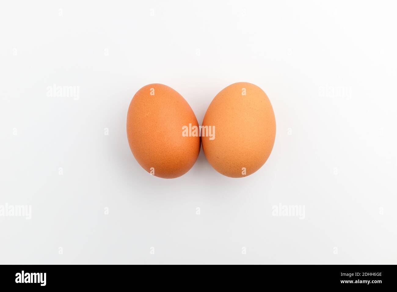 Unfertilized egg High Resolution Stock Photography and Images - Alamy