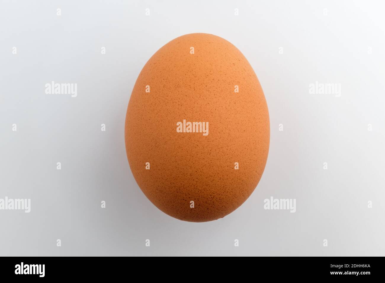 Unfertilized egg hi-res stock photography and images - Alamy