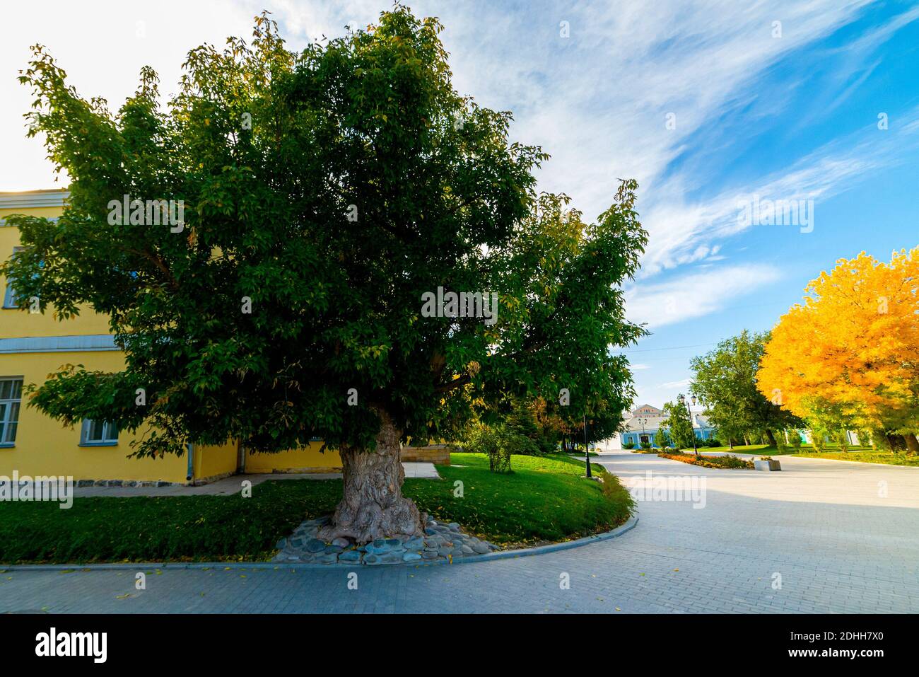 Flowerbeds, Grass Pathway and Ornamental Vase in a Formal Garden Stock ...