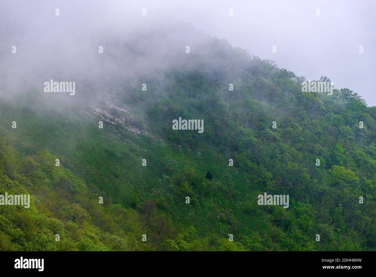 Majestic view on beautiful fog mountains in mist landscape. Dramatic ...