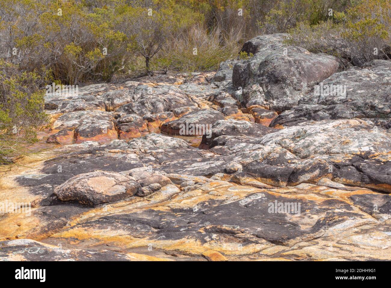 Landscape in the Fitzgerald River Nationalpark west of Hopetoun in ...