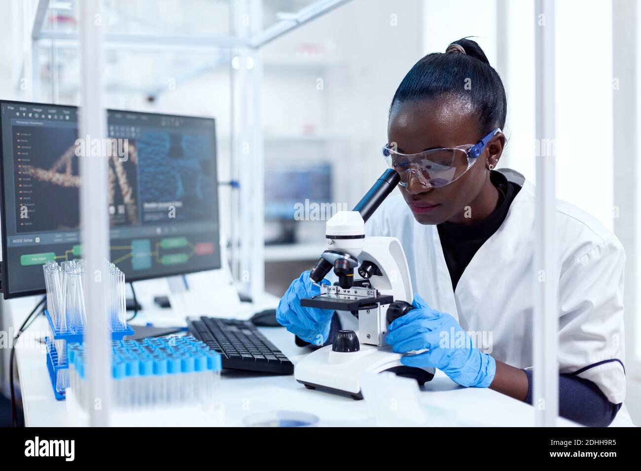 Patoloy hi-res stock photography and images - Alamy