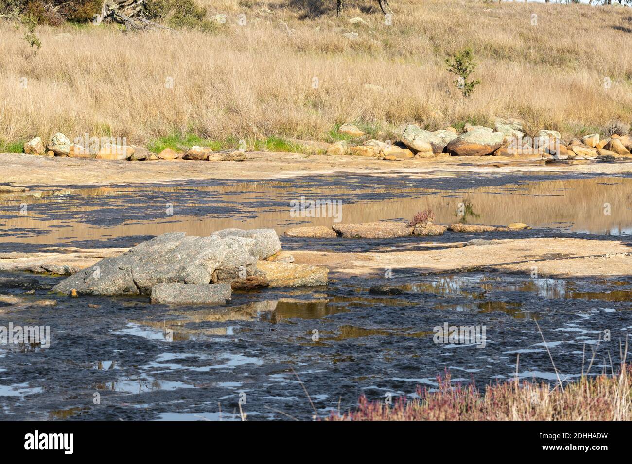Small River close to Ravensthorpe in Western Australia Stock Photo - Alamy