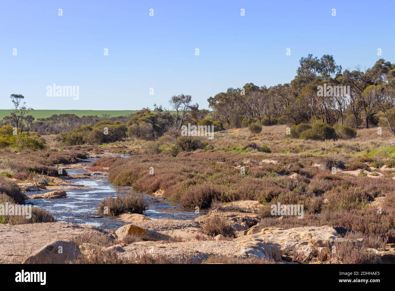 Small River close to Ravensthorpe in Western Australia Stock Photo - Alamy
