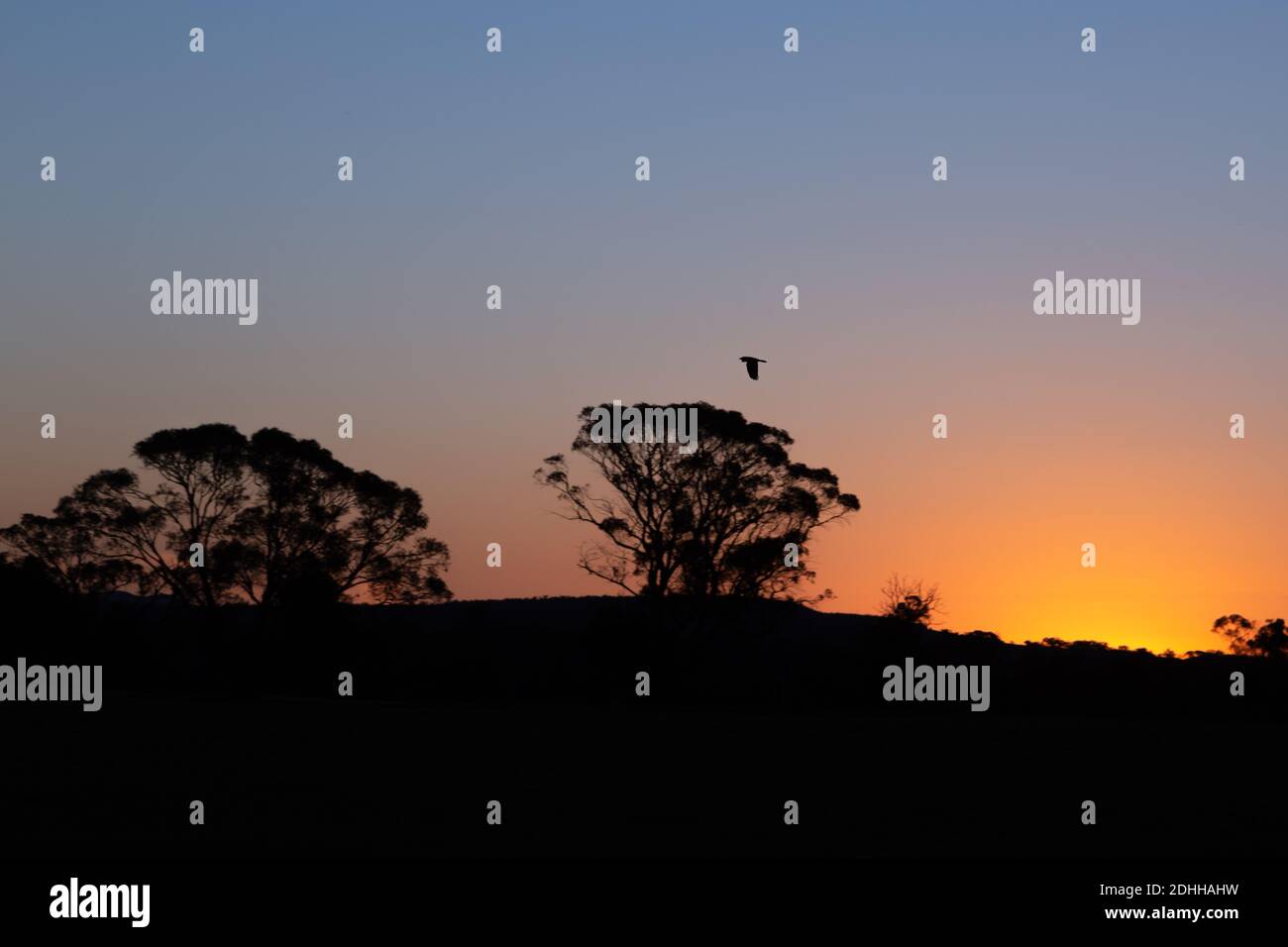 Sunset in the Stirling Range National Park, Western Australia Stock ...