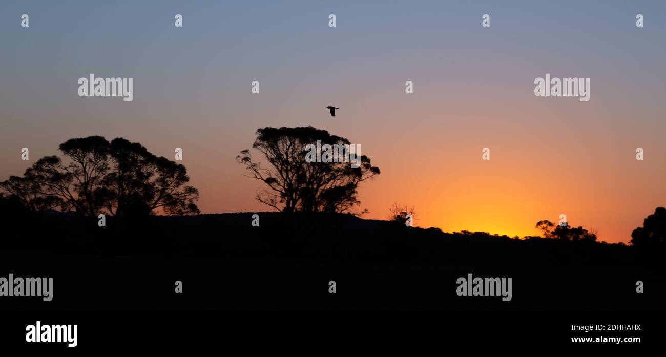 Sunset in the Stirling Range National Park, Western Australia Stock ...