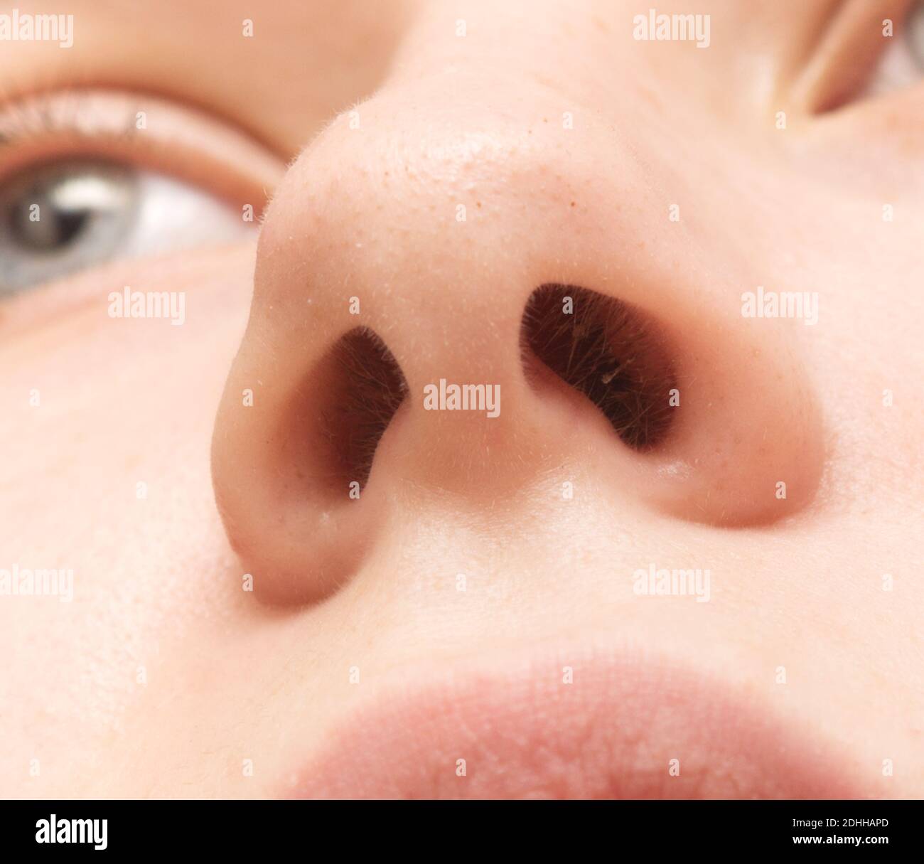 Nose close up and smell female hi-res stock photography and images - Alamy