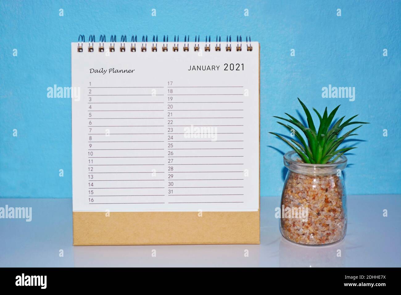 January daily planner 2021 calendar with blue backgrounds and potted ...