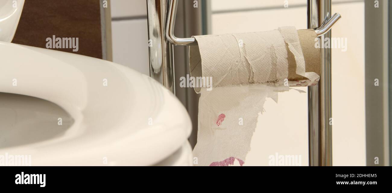 an empty toilet paper roll Stock Photo - Alamy