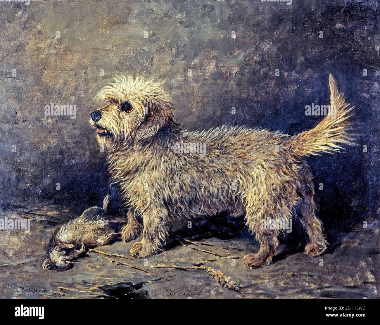 John emms portrait hi-res stock photography and images - Alamy