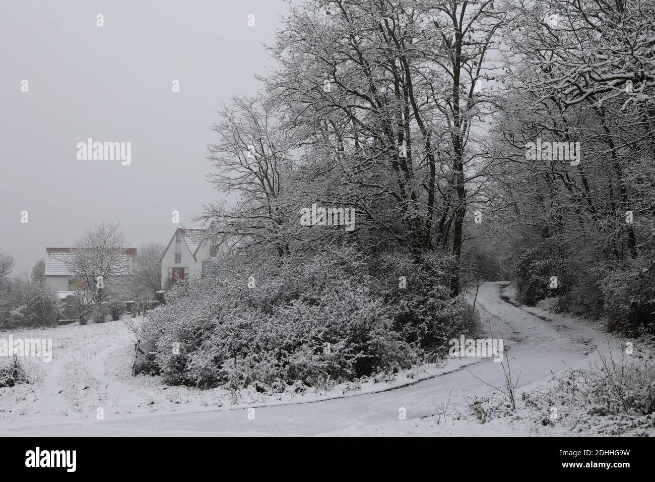 Winter landscape with trees covered in white snow Stock Photo - Alamy