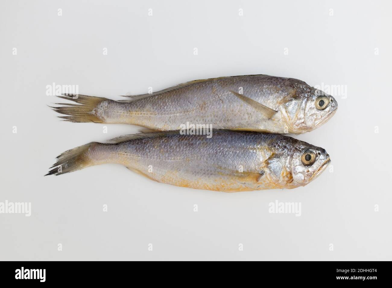 Edible Fish High Resolution Stock Photography and Images - Alamy