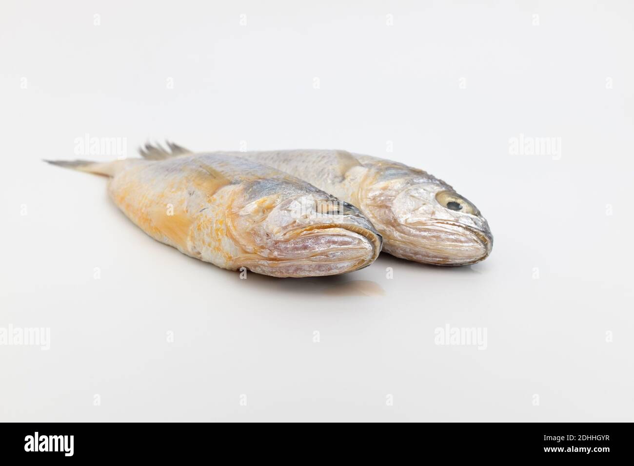 Corvina fish hi-res stock photography and images - Alamy