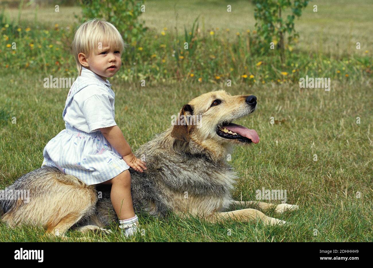 Girl sitting on her Dog Stock Photo - Alamy