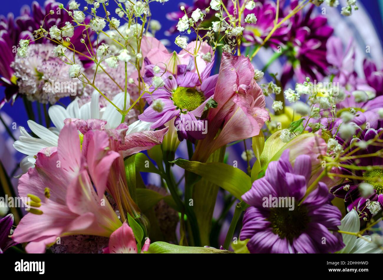 Bouquet of fading flowers on blue background. Different flowers ...