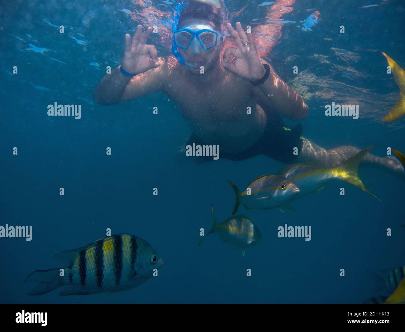 A closeup shot of male swimming with fishes Stock Photo - Alamy