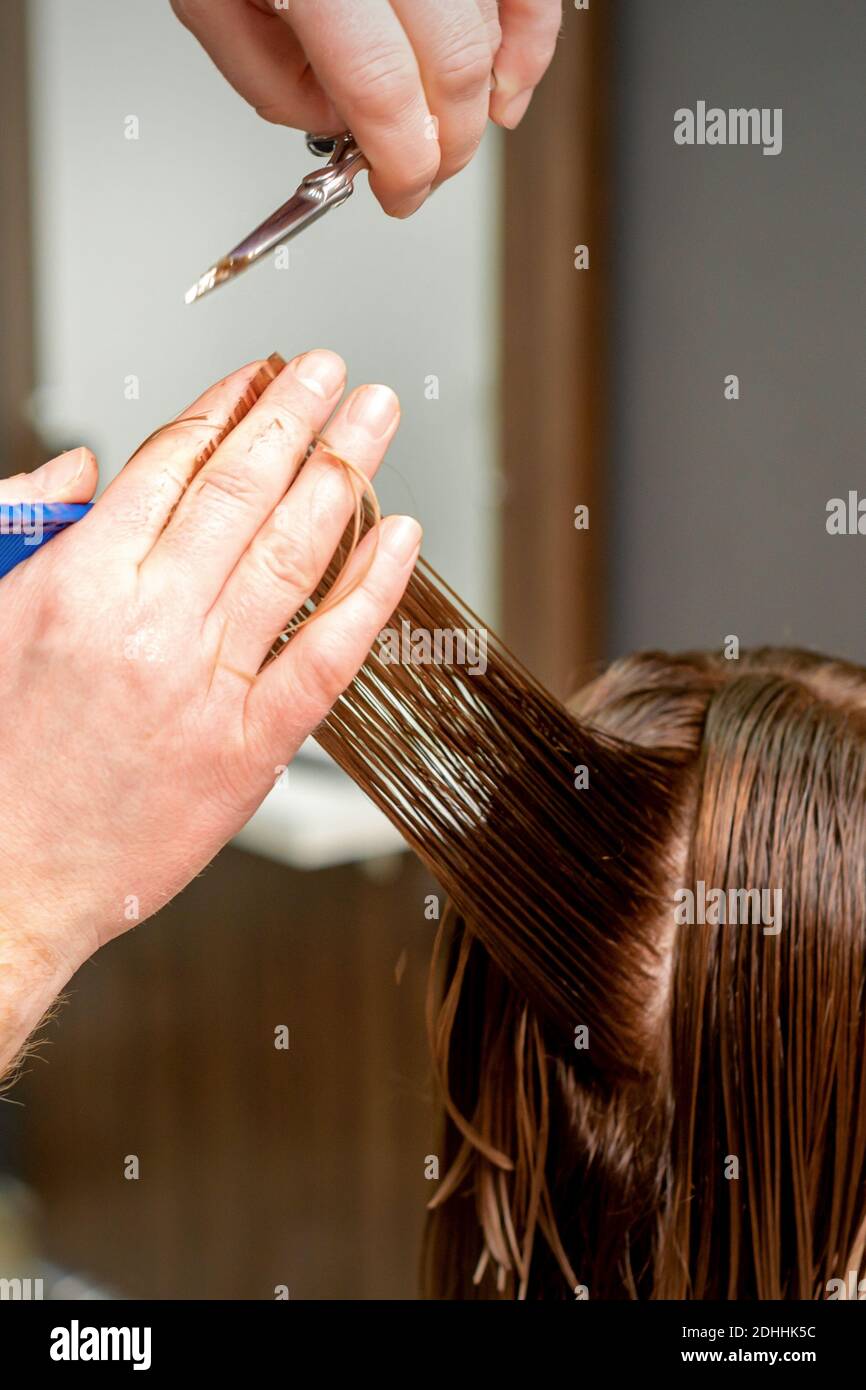 Close up hairdressers hands trimming hi-res stock photography and ...