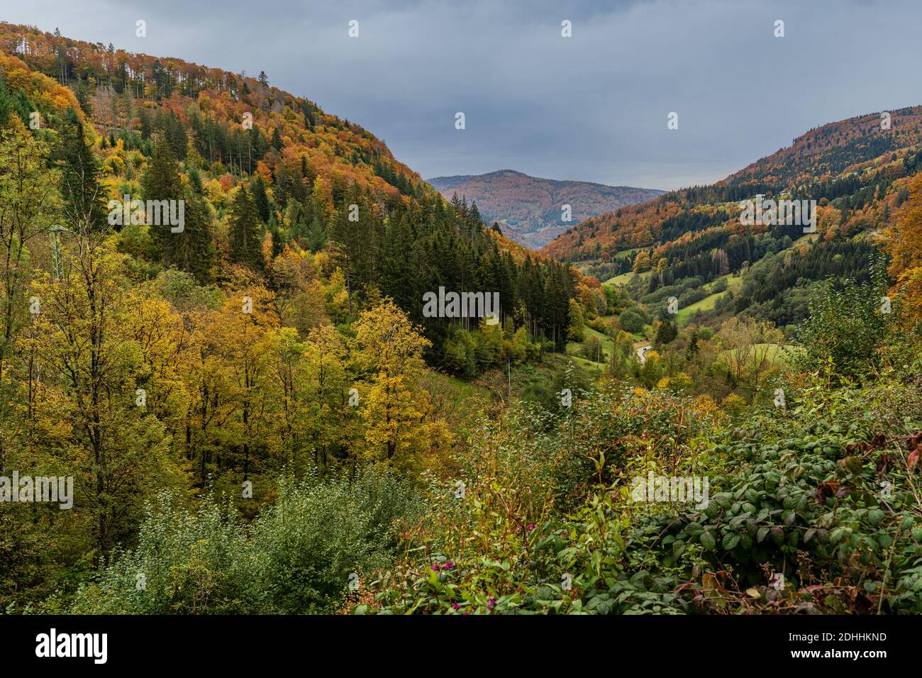 A view of the Waterfall Todtnau, Black Forest, Germany Stock Photo - Alamy