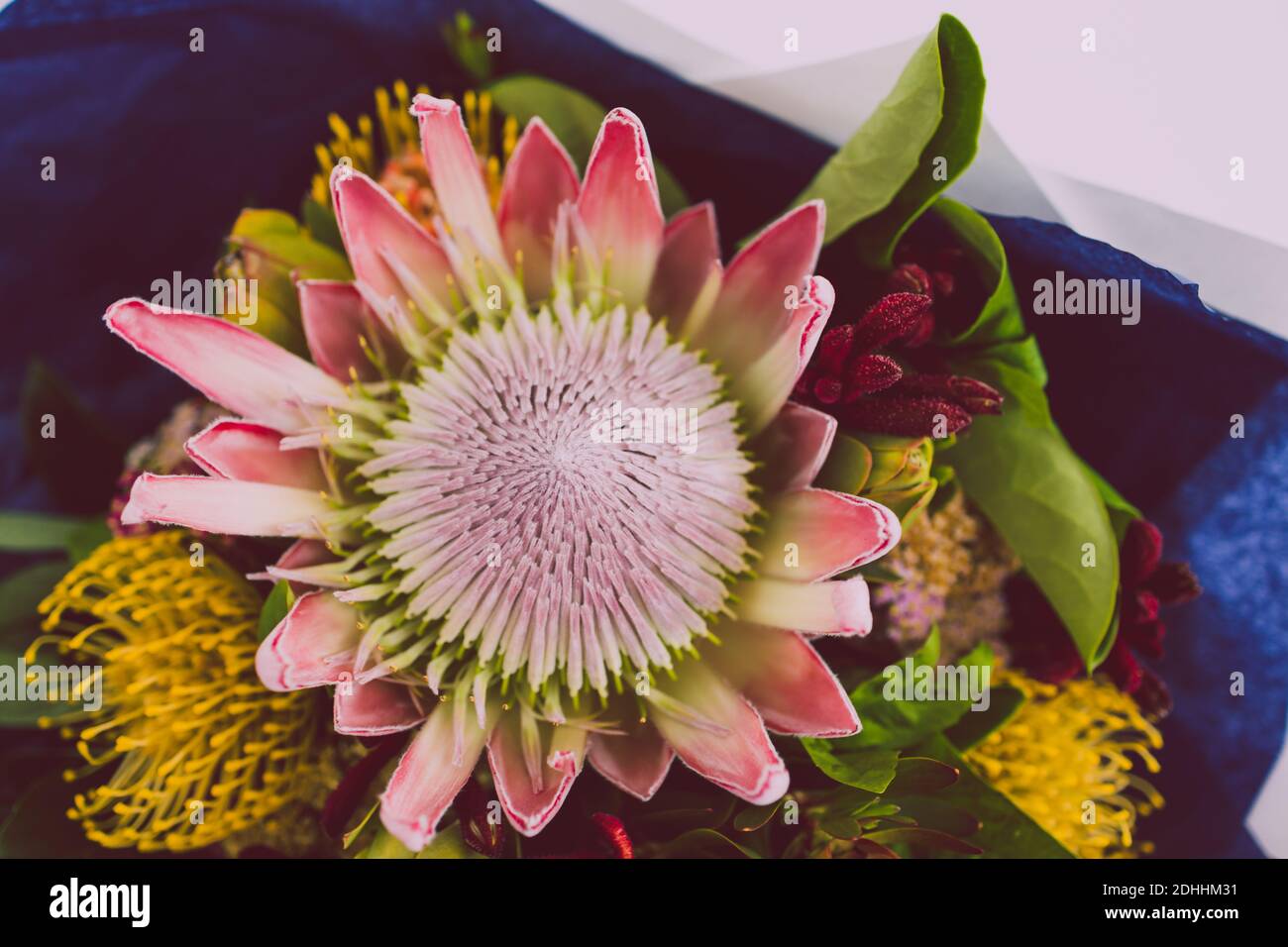 bunch of native Australian flower with proteas and kangaroo paws shot ...
