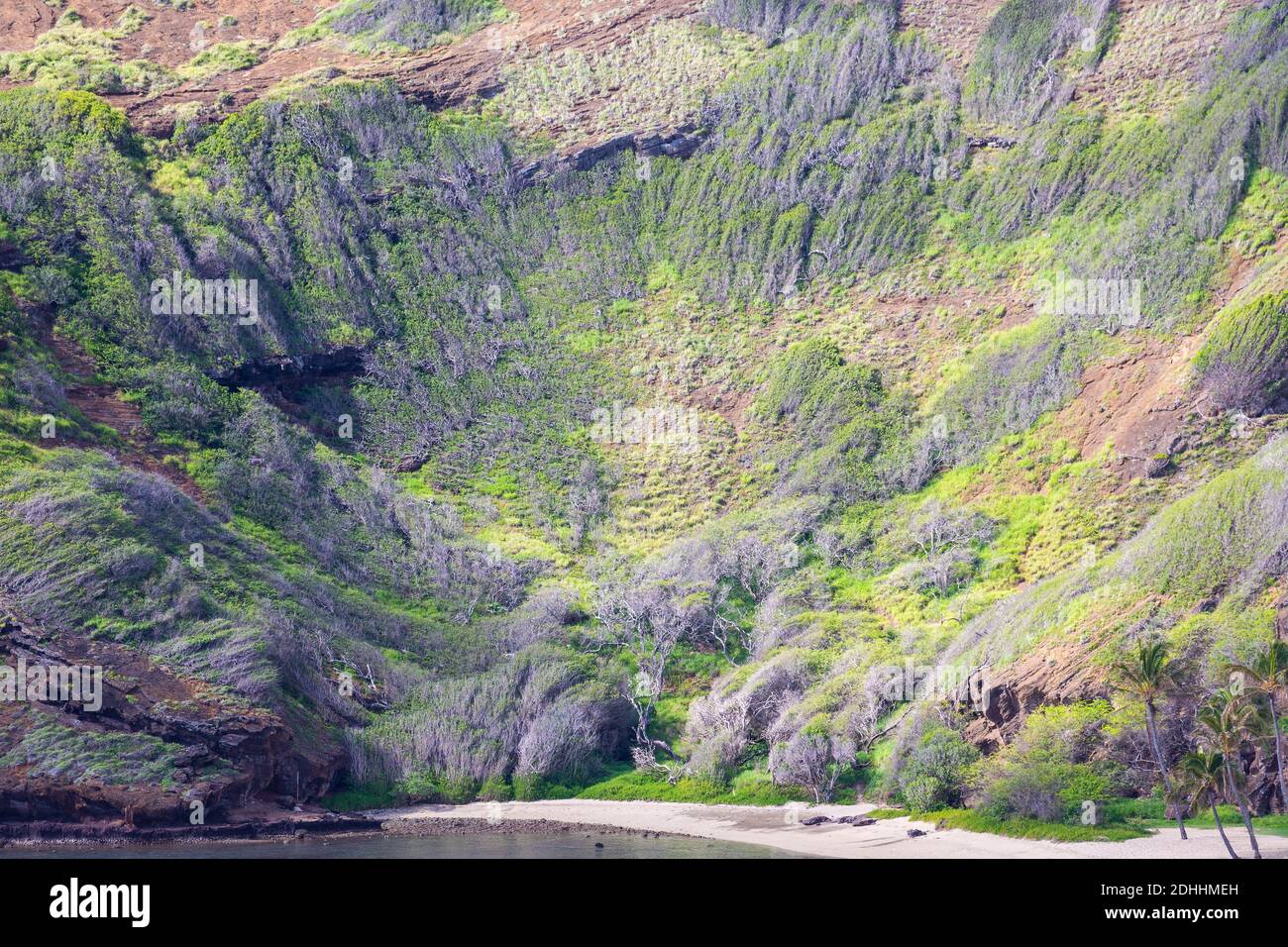 Deep volcanic crater into Hanauma Bay, Oahu, Hawaii Stock Photo - Alamy