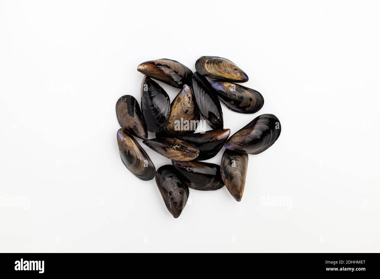 Soft shell clams hi-res stock photography and images - Alamy