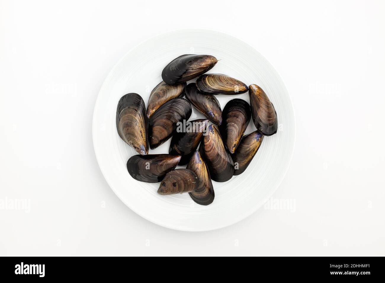 Mussel shells on white background Stock Photo - Alamy