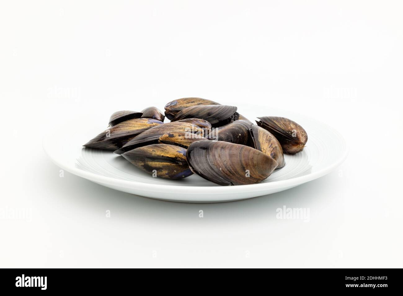Mussel shells on white background Stock Photo - Alamy