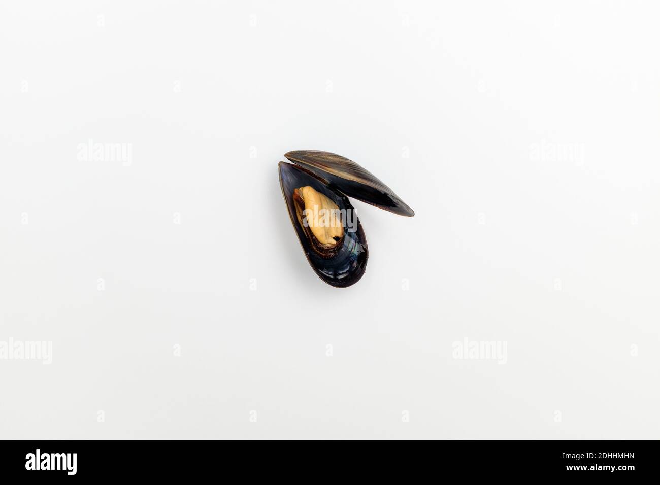 Soft shellfish hi-res stock photography and images - Alamy