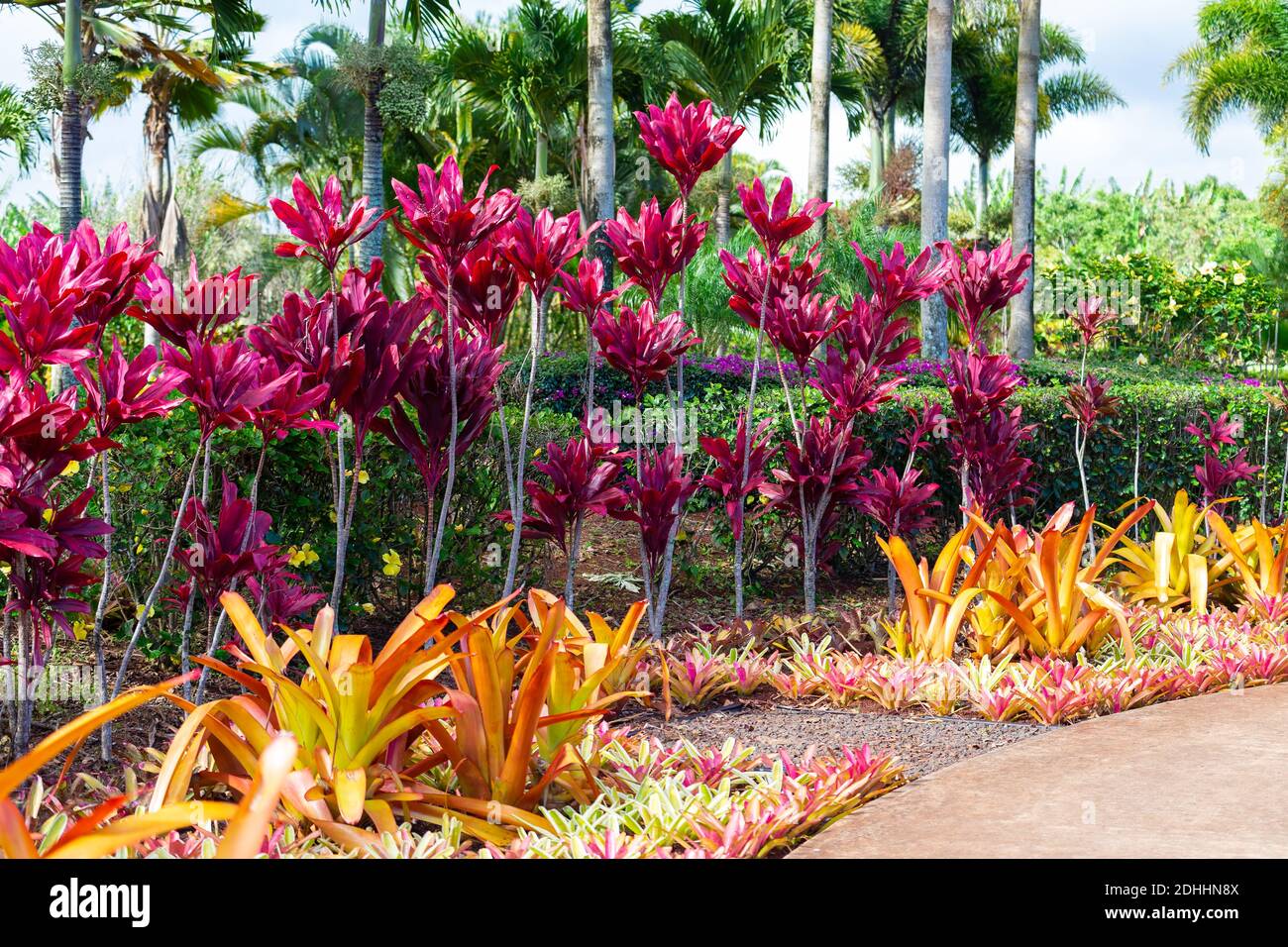 Beautiful landscape oahu hawaii hi-res stock photography and images - Alamy