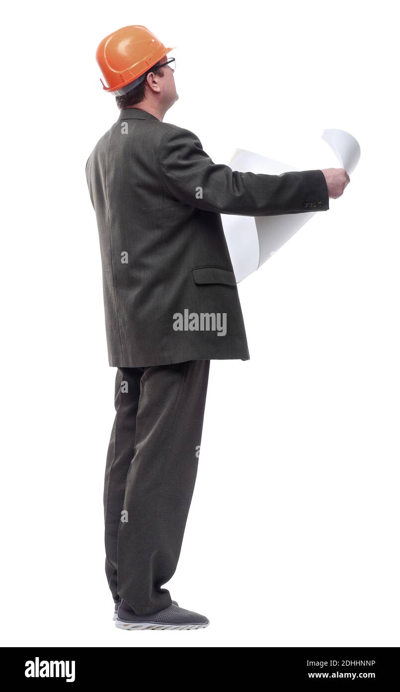 rear view. experienced architect reading the drawing Stock Photo - Alamy