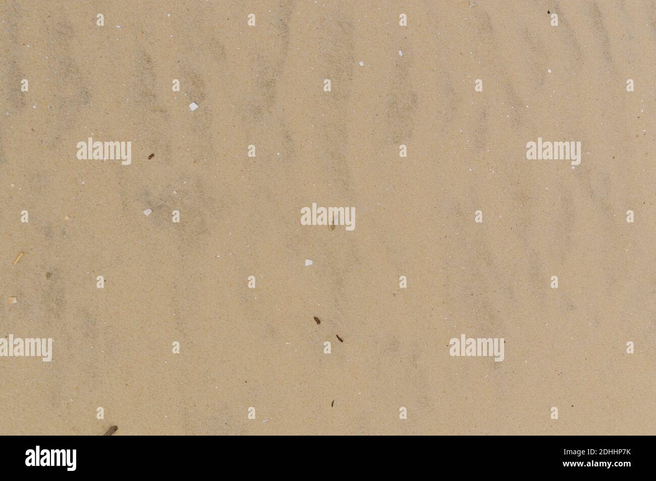 Natural river fine sand texture and background Stock Photo - Alamy