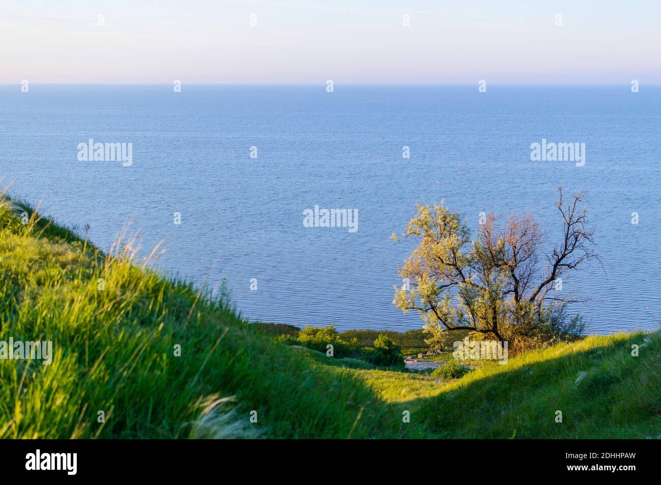 Beautiful landscape view with a tree, coast and a sea background Stock ...