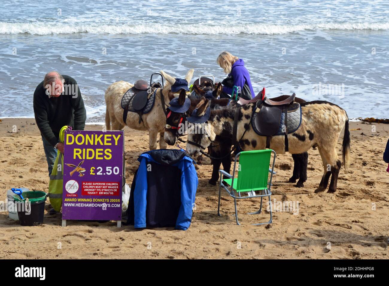 Donkey rides on Scarborough Beach, Scarborough, Yorkshire, UK Stock ...