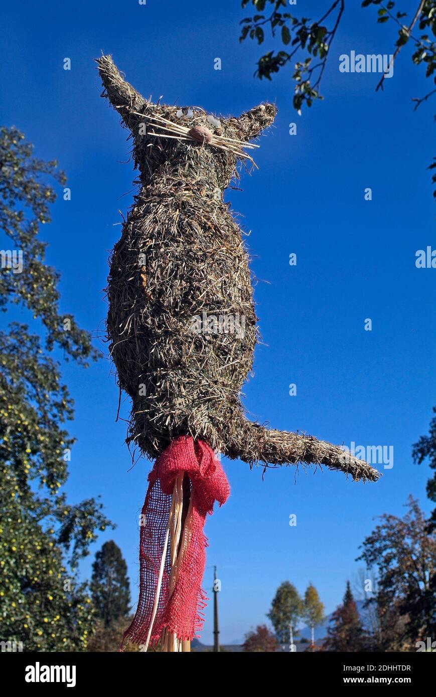 Austria, cat made of straw at the traditional yearly herb festival in ...
