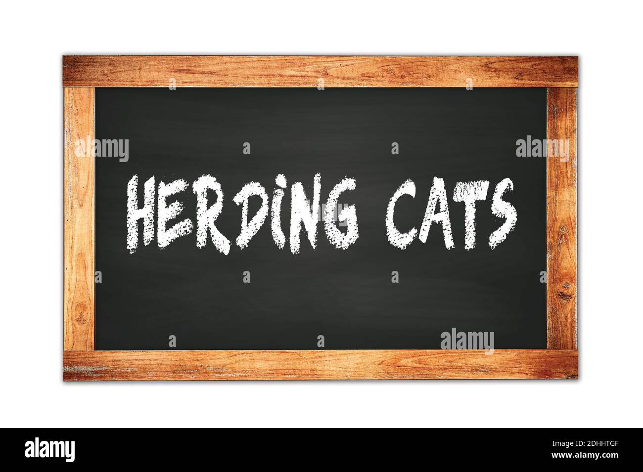 Herding cats word hi-res stock photography and images - Alamy